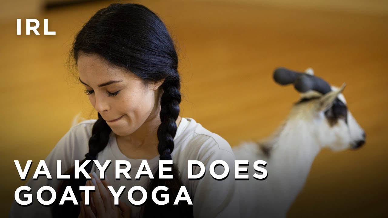 Valkyrae Does Goat Yoga, ft. Peeing Goats | IRL - HTC Esports - YouTube