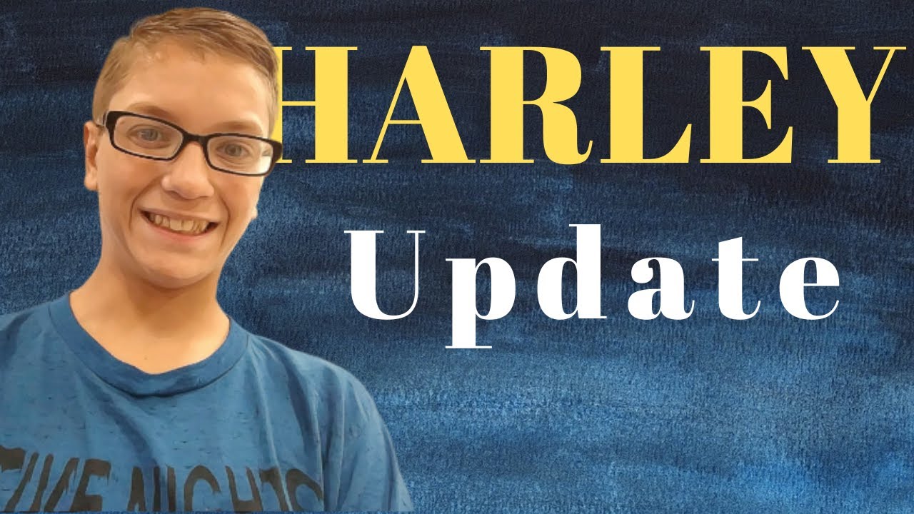 Harley Dilly Update - Funeral, Protests, Petitions & More - YouTube