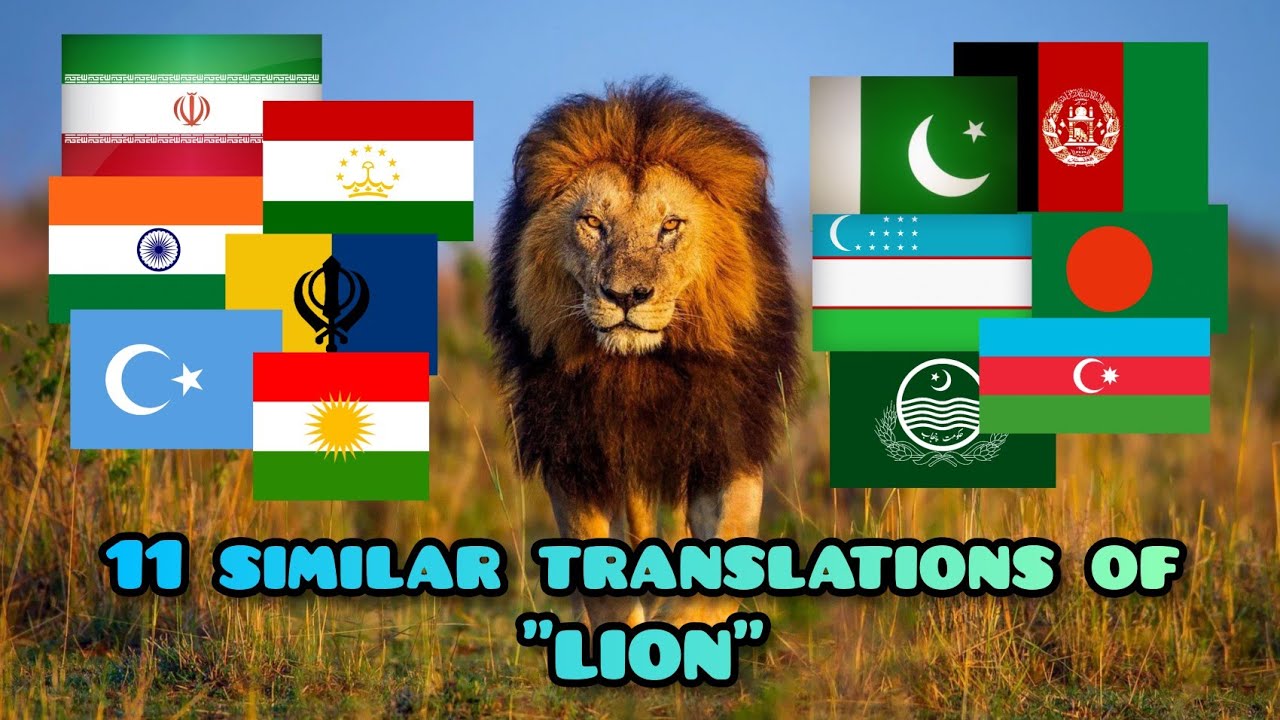 11 similar translations of "LION". World languages / ترجمه شیر ...