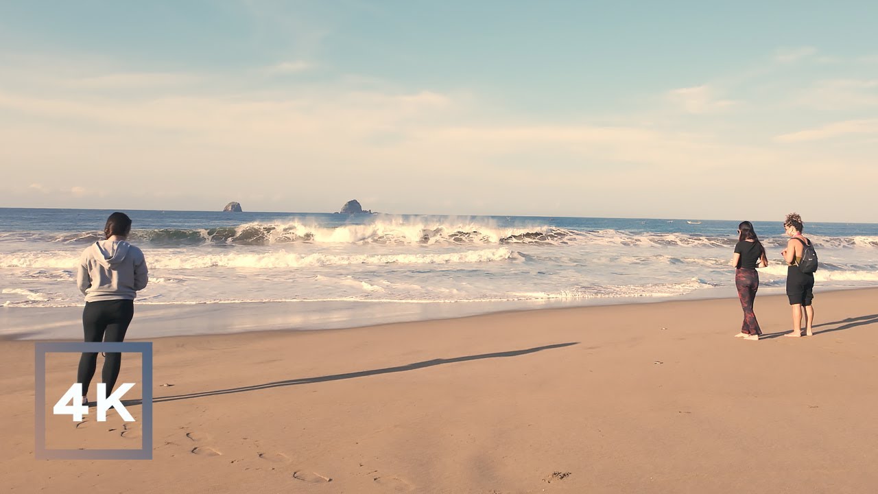 Morning Walk at Sukamade Turtle Conservation Beach – Meru Betiri, East Java | 4K Nature Ambience ...