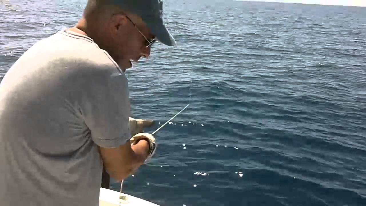 Pesca tonno rosso a Gaeta part 2 - YouTube