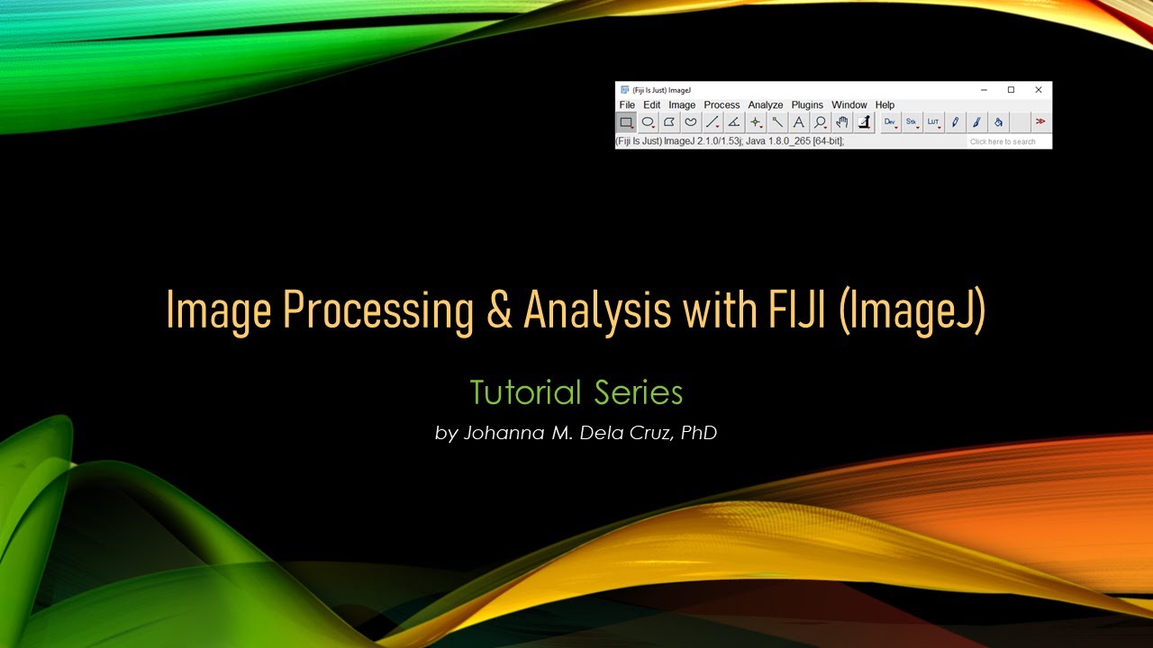 Are you a FIJI (ImageJ) beginner? - YouTube