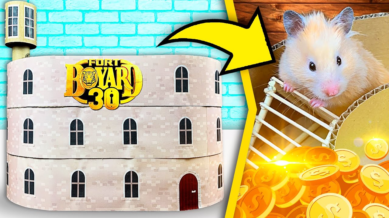 Hamsters VS Fort Boyard | 3 Storied Maze For Hamsters DIY - YouTube
