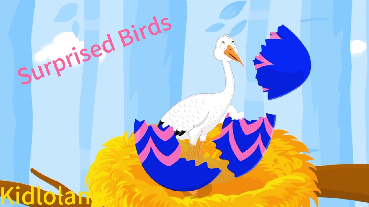 Surprising Birds | Amazing Facts and Fun for Kids | Educational Video ...