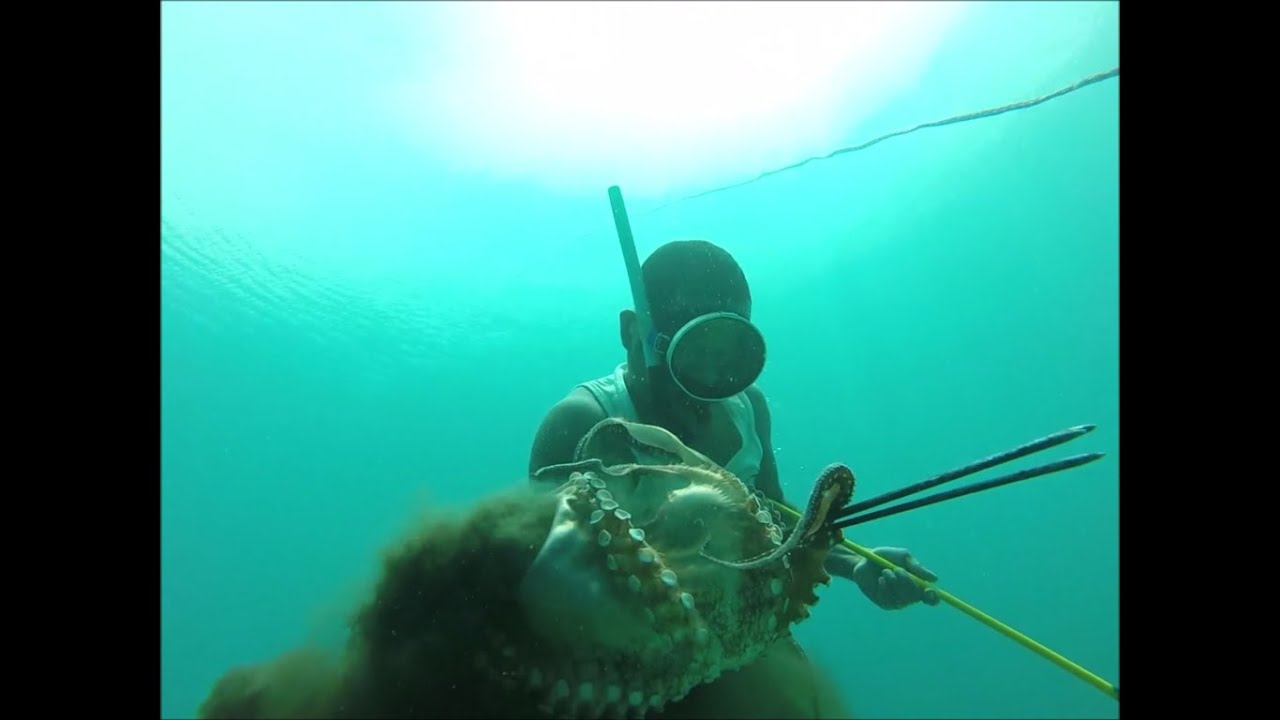 THE GREAT OCTOPUS HUNTER IN THE MARSHALL ISLANDS || The last Part of ...