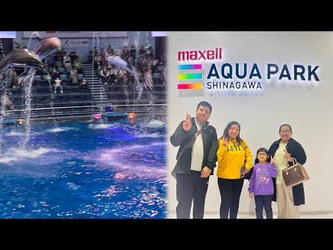 イルカショー  Dolphin 🐬 Dance show maxell AQUA PARK SHINAGAWA  2026.04.27  