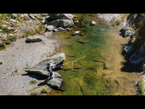 Fly Fishing Incredible Clear Water Mountain Stream For Hungry Rainbow ...