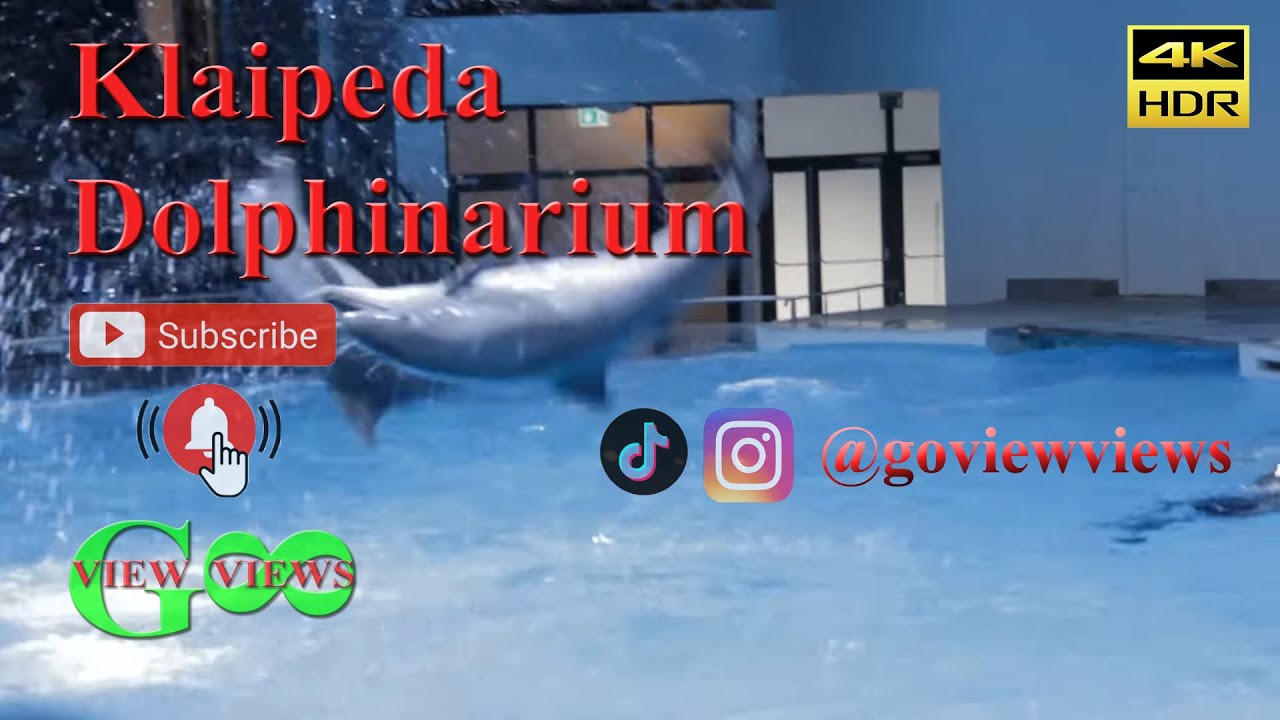 Klaipeda Dolphinarium Delfinariumas Lithuania Lietuva Baltics Life ...