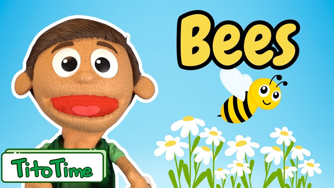 Bees are Amazing | Bee Brave | Bee Educational Video for Kids - YouTube
