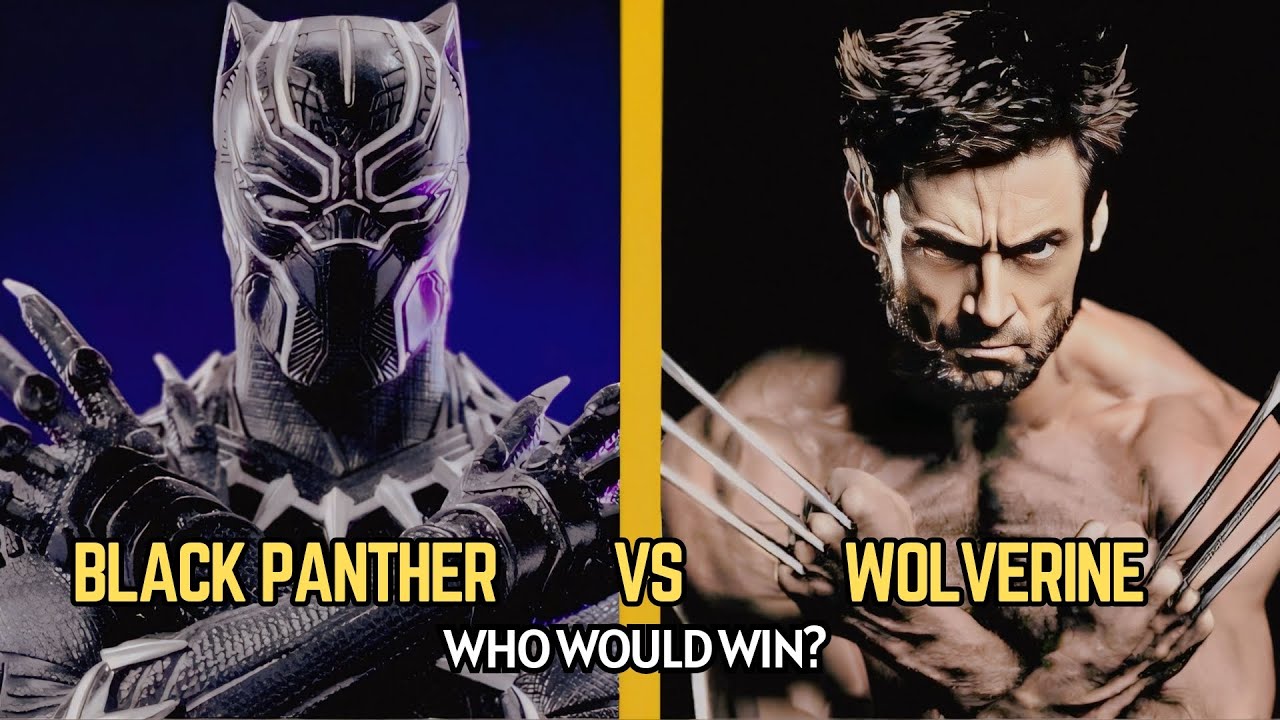 Wolverine vs Black Panther: Who Would Win? #Wolverine #BlackPanther # ...