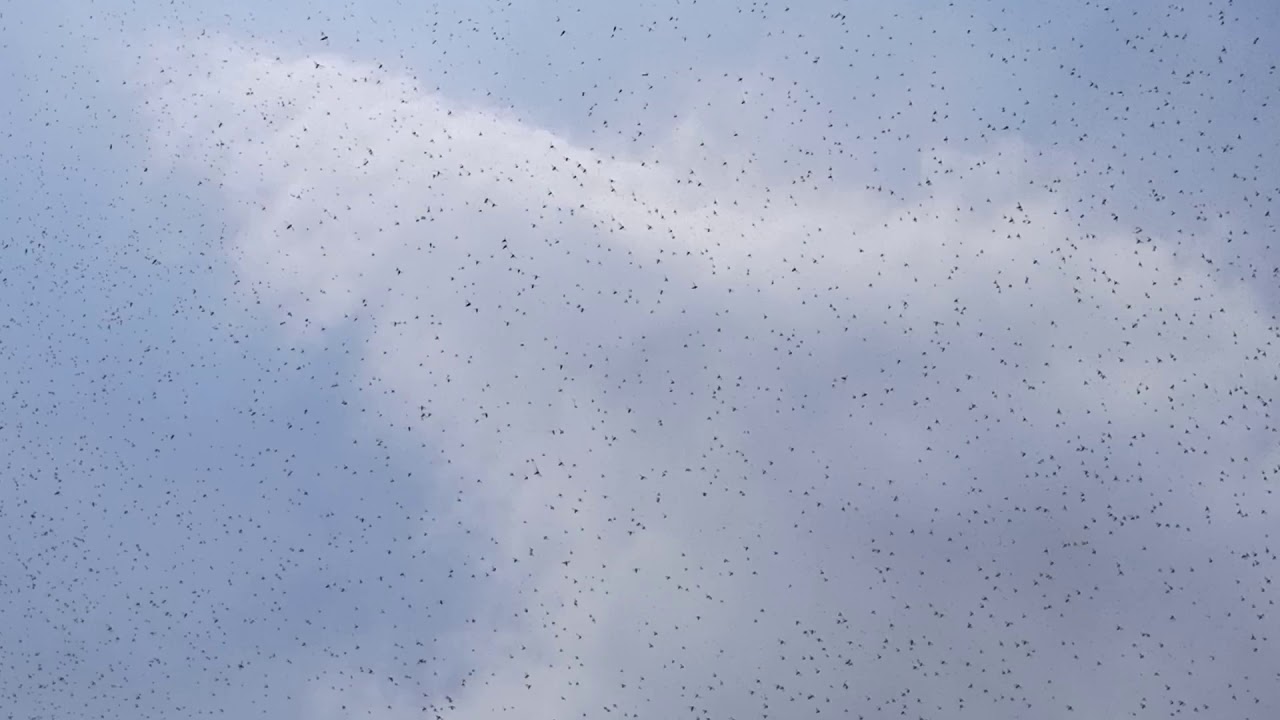 Aalag andaj(3) - YouTube