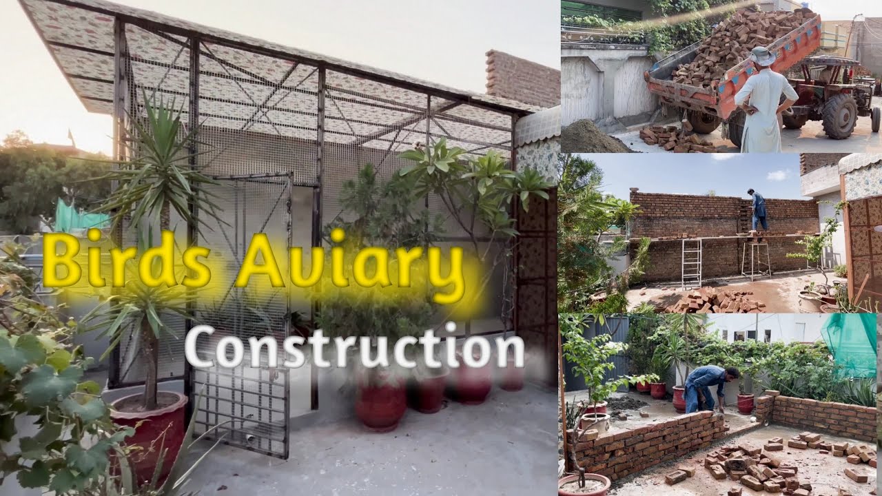 Complete birds aviary construction | Beautiful and huge birds aviary ...