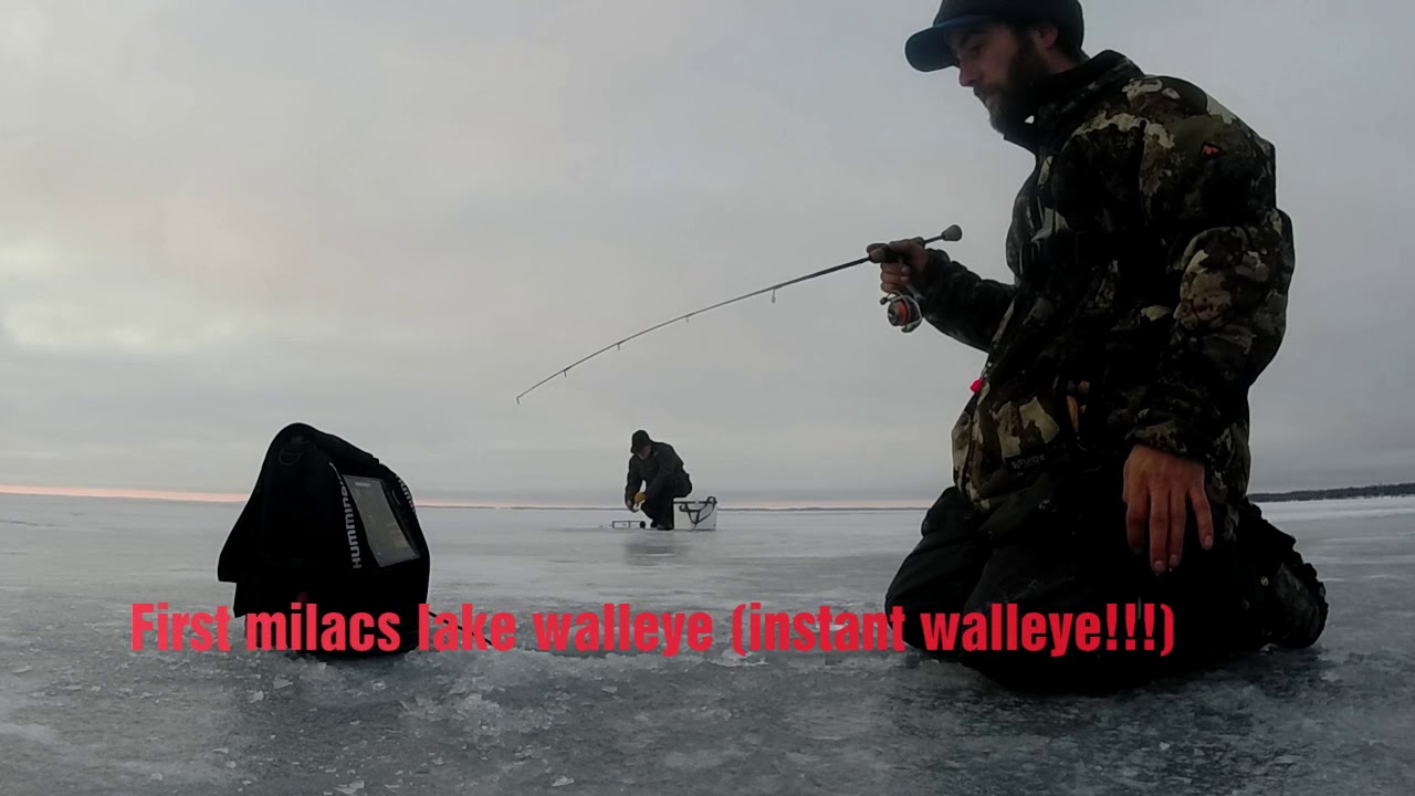 Milacs lake walleye! - YouTube