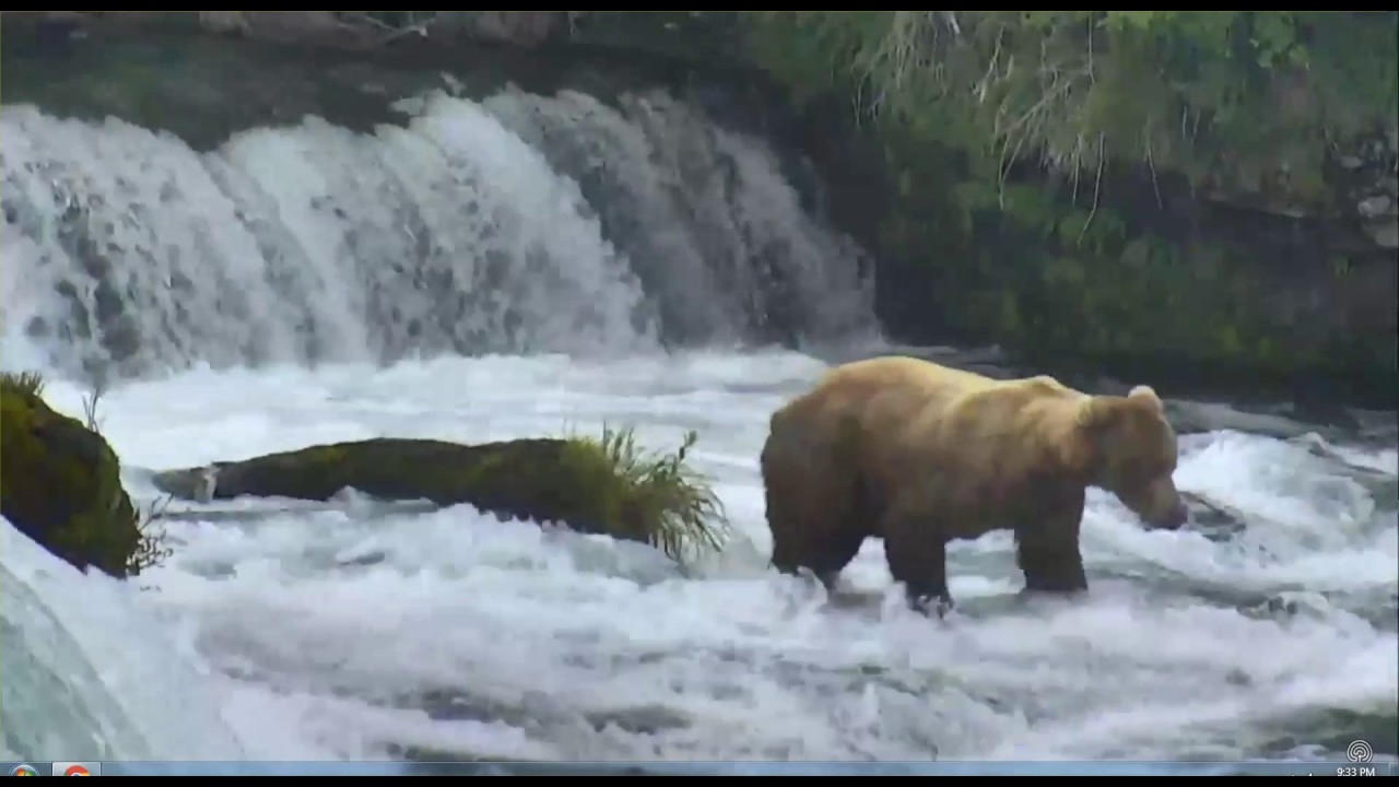 2017 06 25 21 35 54 274 Overflow displaced - YouTube