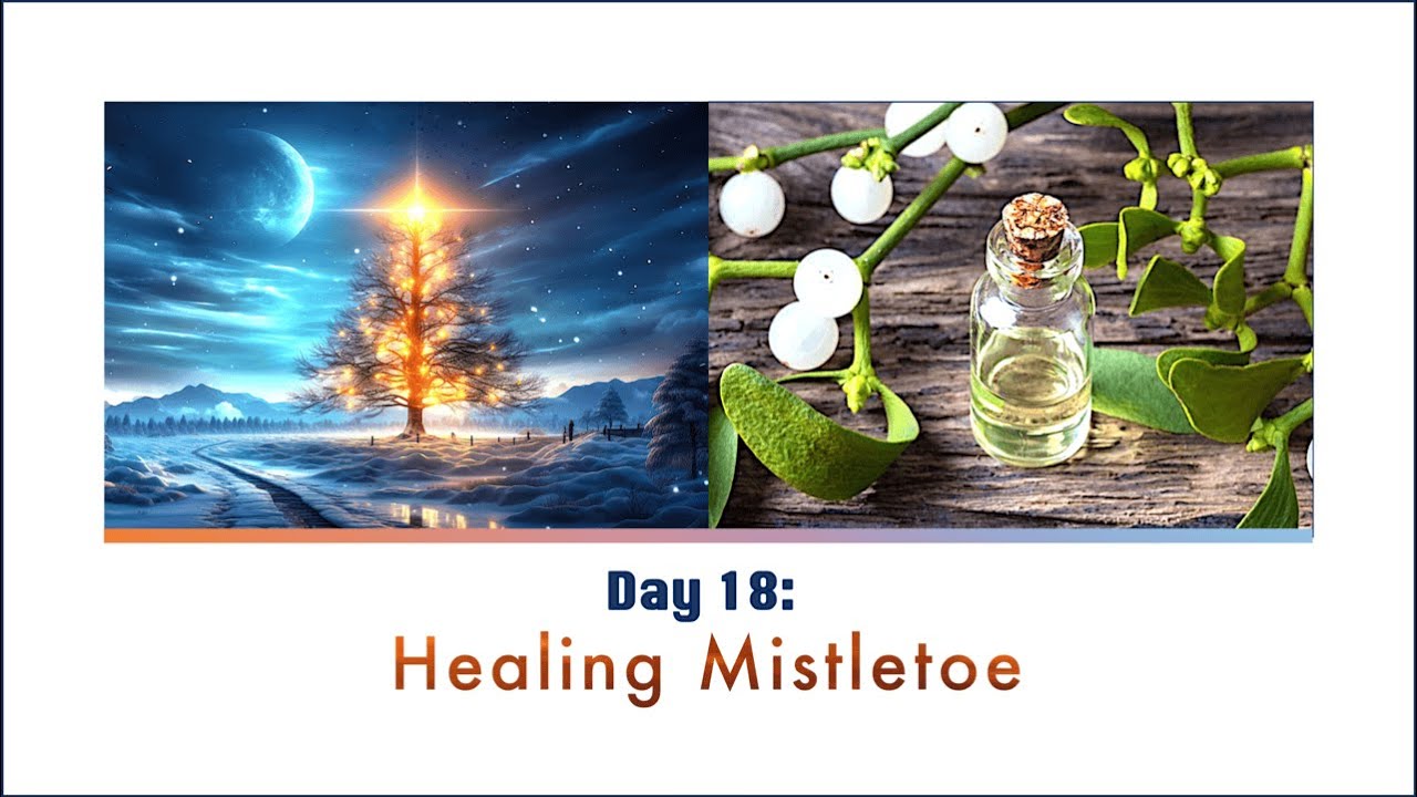 Christmas Alchemy Day 18 - THE HEALING POWER OF MISTLETOE - YouTube