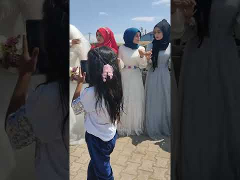 eşmecayir koyu koma Behram