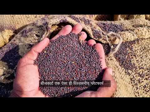 India’s Best Online Seed Store – www.beejkart.com