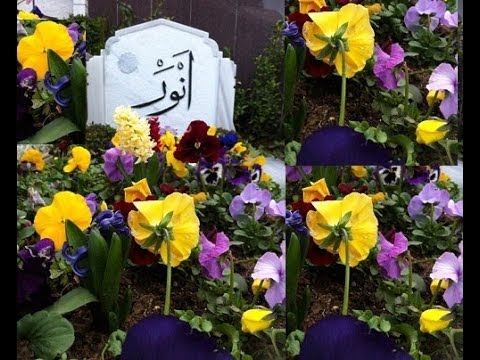 Silsilei Aliyye BÜYÜK ALİMLER