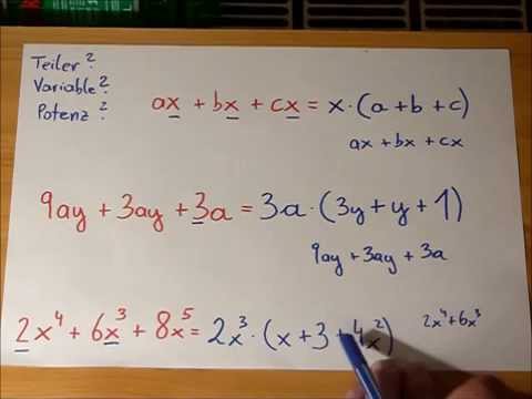 Herausheben von Faktoren (Zahlen und Variablen) - Einführung - YouTube