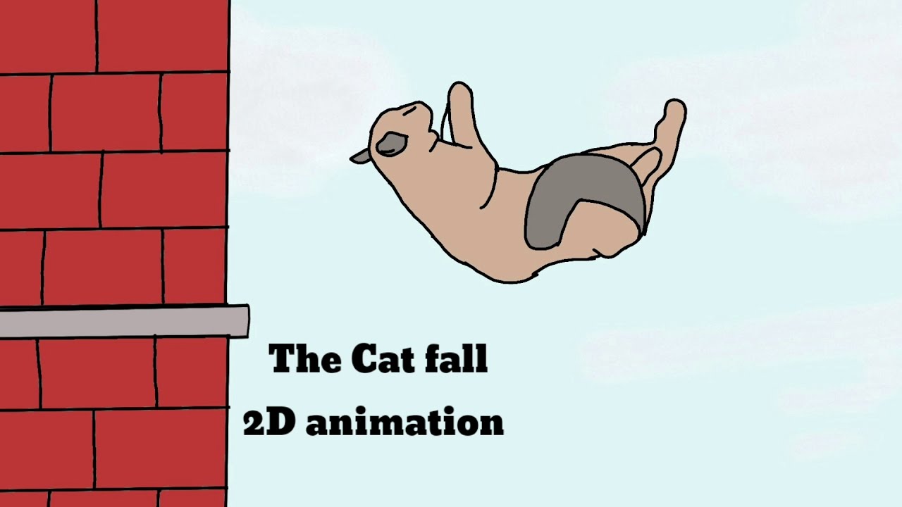 Cat free fall || 2D animation || Layer wise Break down || Slow motion ...