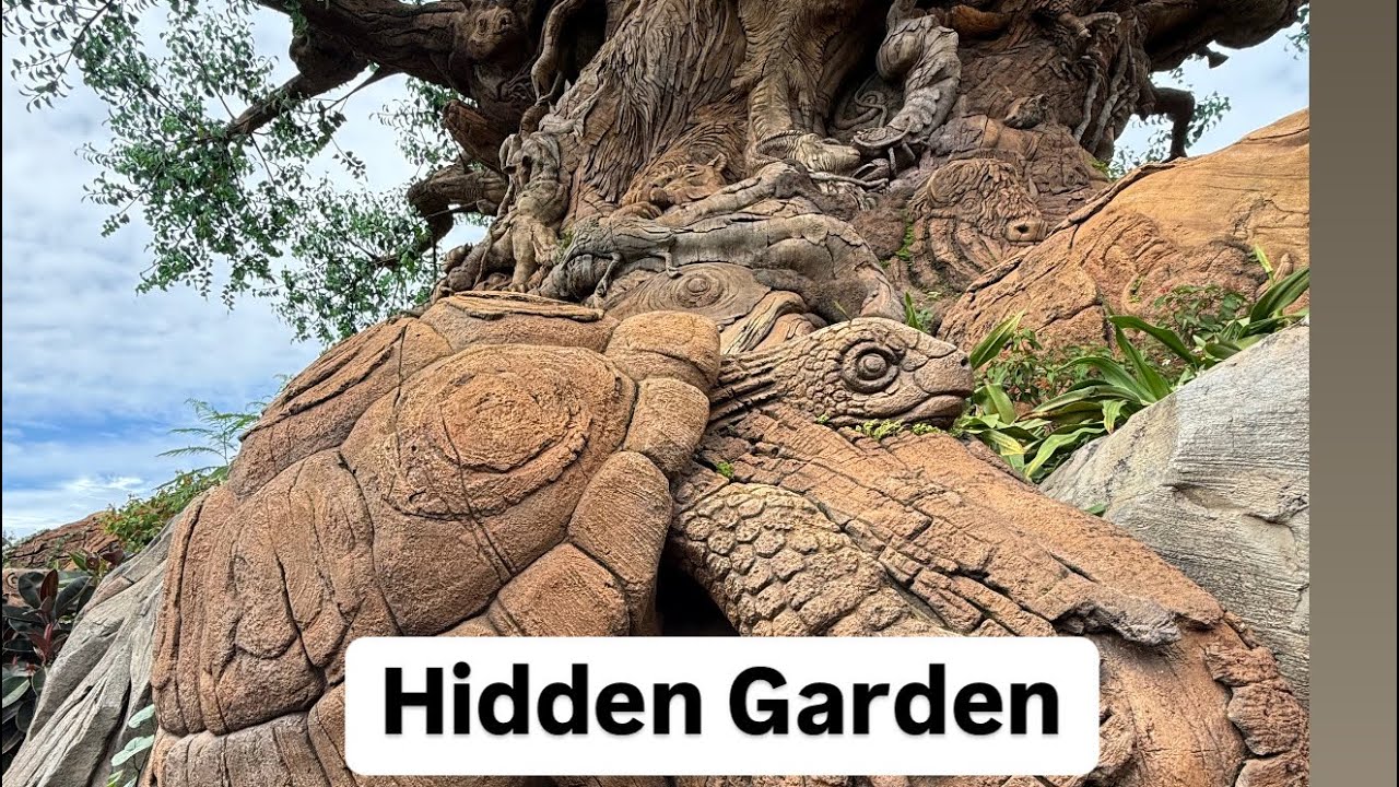 Hidden Garden at base of Tree of Life Disney’s Animal Kingdom! Great ...