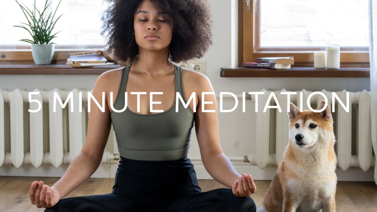 Guided Mindfulness Meditation (5 minutes) - YouTube