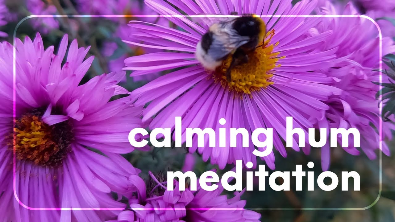Mini Meditation | CALMING HUM | Guided Humming Meditation to Help Calm ...