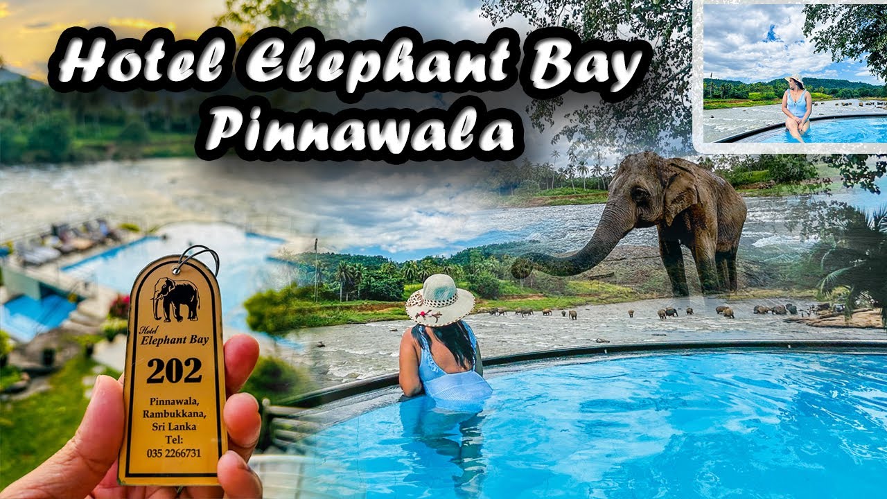 Pinnawala Hotel Elephant Bay පින්නවල අලි බලන්න මේක සුපිරි තැනක් # ...