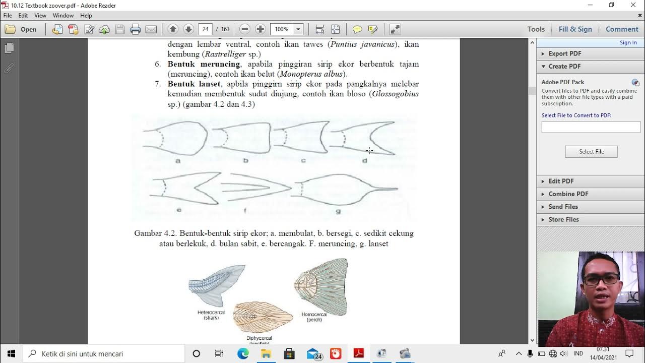 Iktiologi, Klasifikasi, dan Ruaya Ikan - YouTube