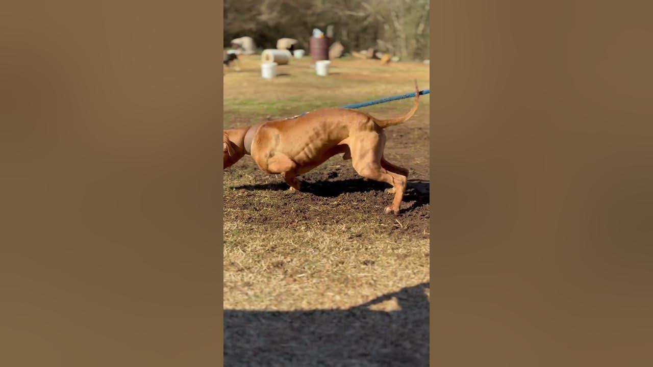 A sculptor wields the chisel, and the stricken marble grows to beauty ...