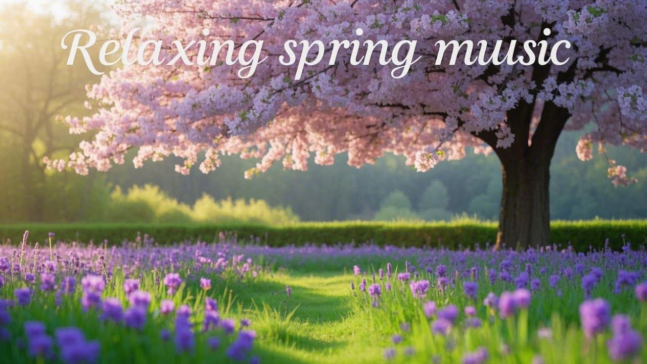 Relaxing spring music and cherry blossoms 🌷🌸 - YouTube
