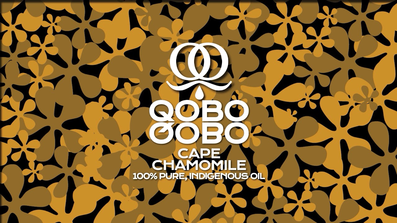 Qobo Qobo Indigenous Oils Project for the Siyakholwa Group - YouTube