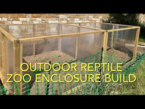 REPTILES: The outdoor zoo type enclosures are finished - YouTube