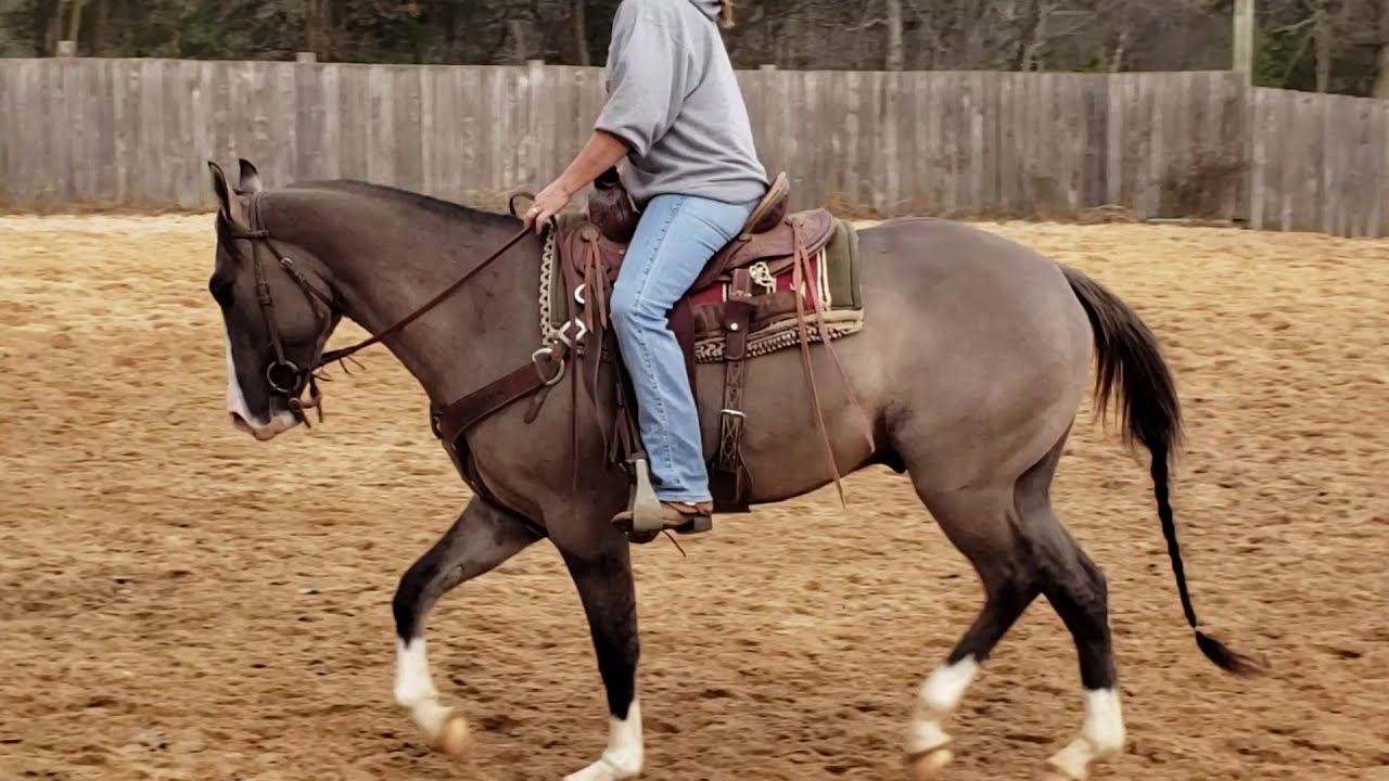 Goose riding after a week off - YouTube