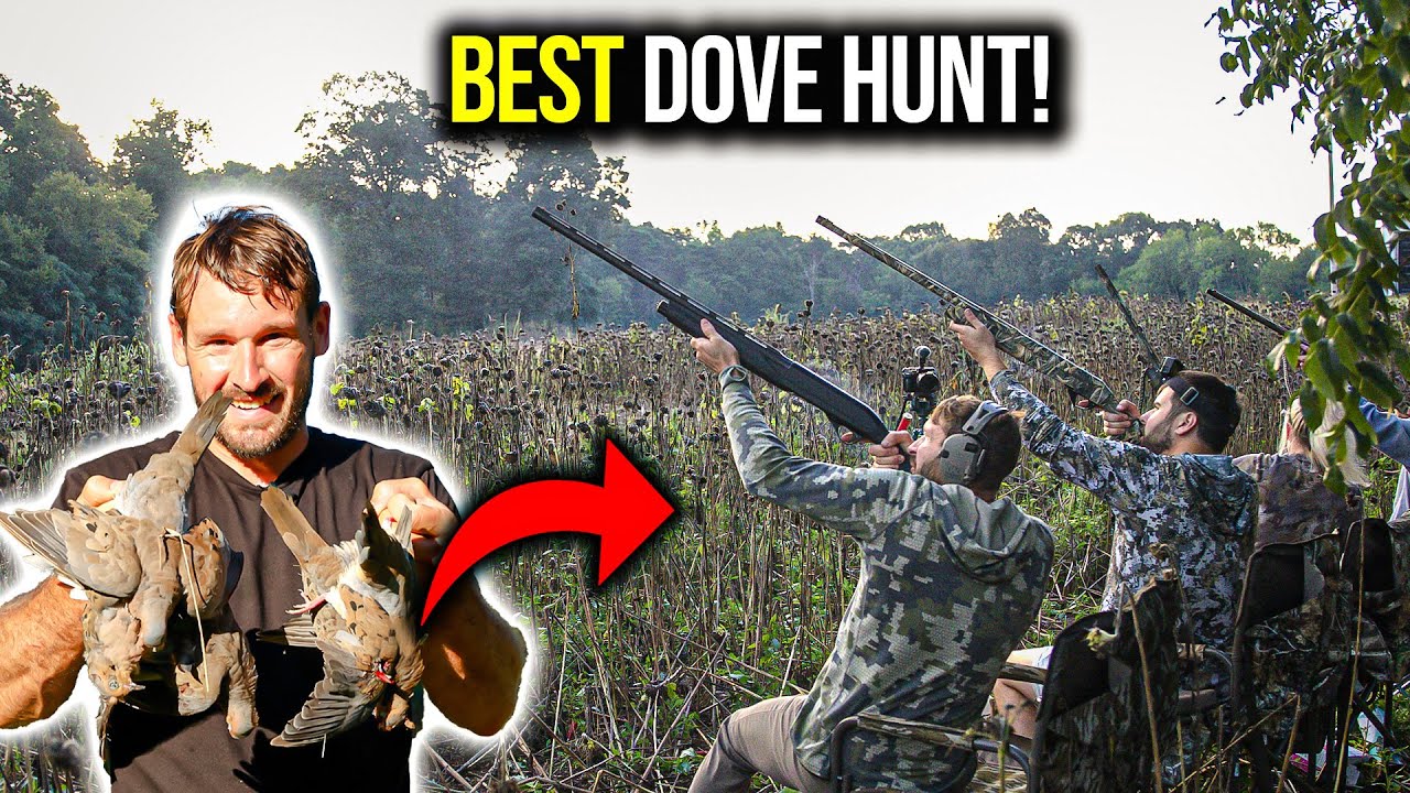 Best & First Dove Hunt Ever, with @BraydonPrice. - YouTube