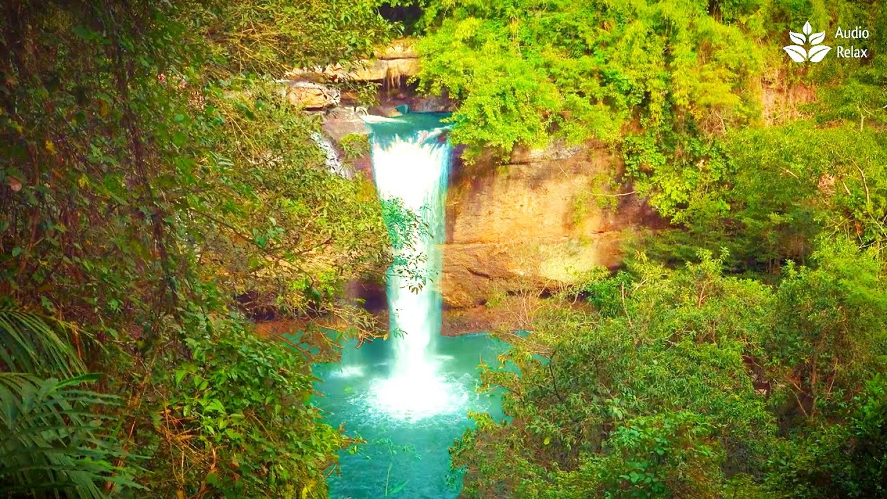 Sleep instantly with rushing waterfall sounds in forest, Soothing ...
