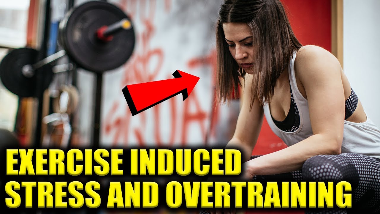 Understanding And Managing Exercise-Induced Stress And Overtraining ...