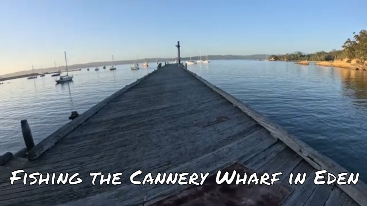 A Gorgeous Morning Fishing the Cannery Wharf in Eden - YouTube