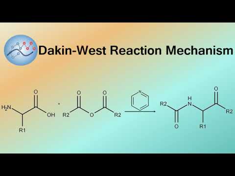 Dakin-West Reaction Mechanism | Organic Chemistry - YouTube