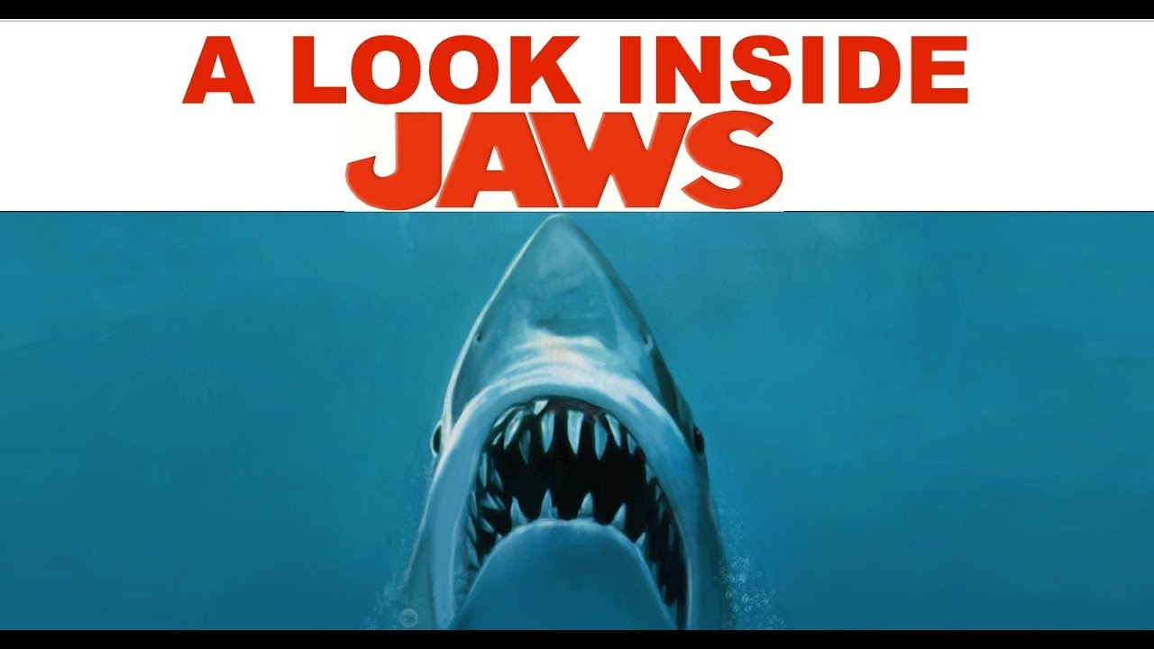 A Look Inside Jaws - YouTube