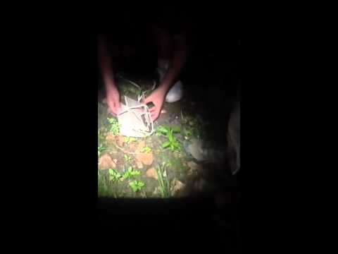 Leech trap one - YouTube