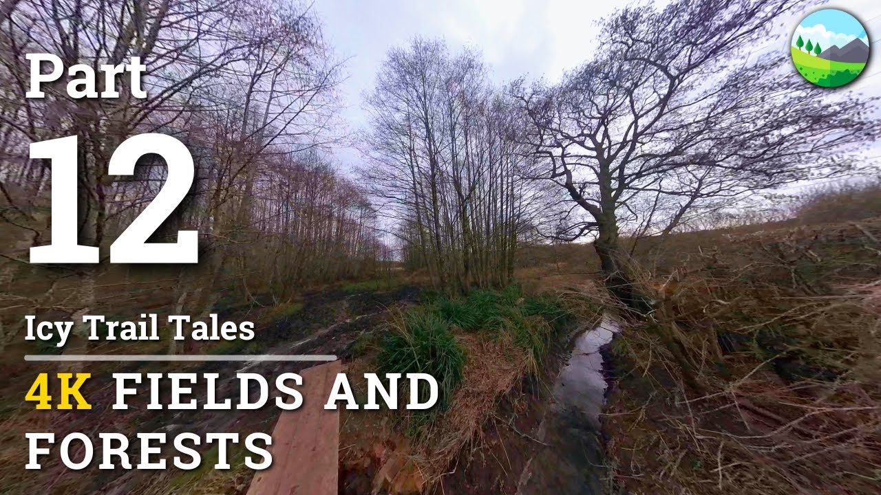 Icy Trail Tales - 4k Fields and Forest no music - YouTube