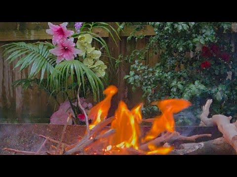 Twinkle Twinkle is live. Fire and Rain Sounds. #fire #rain - YouTube