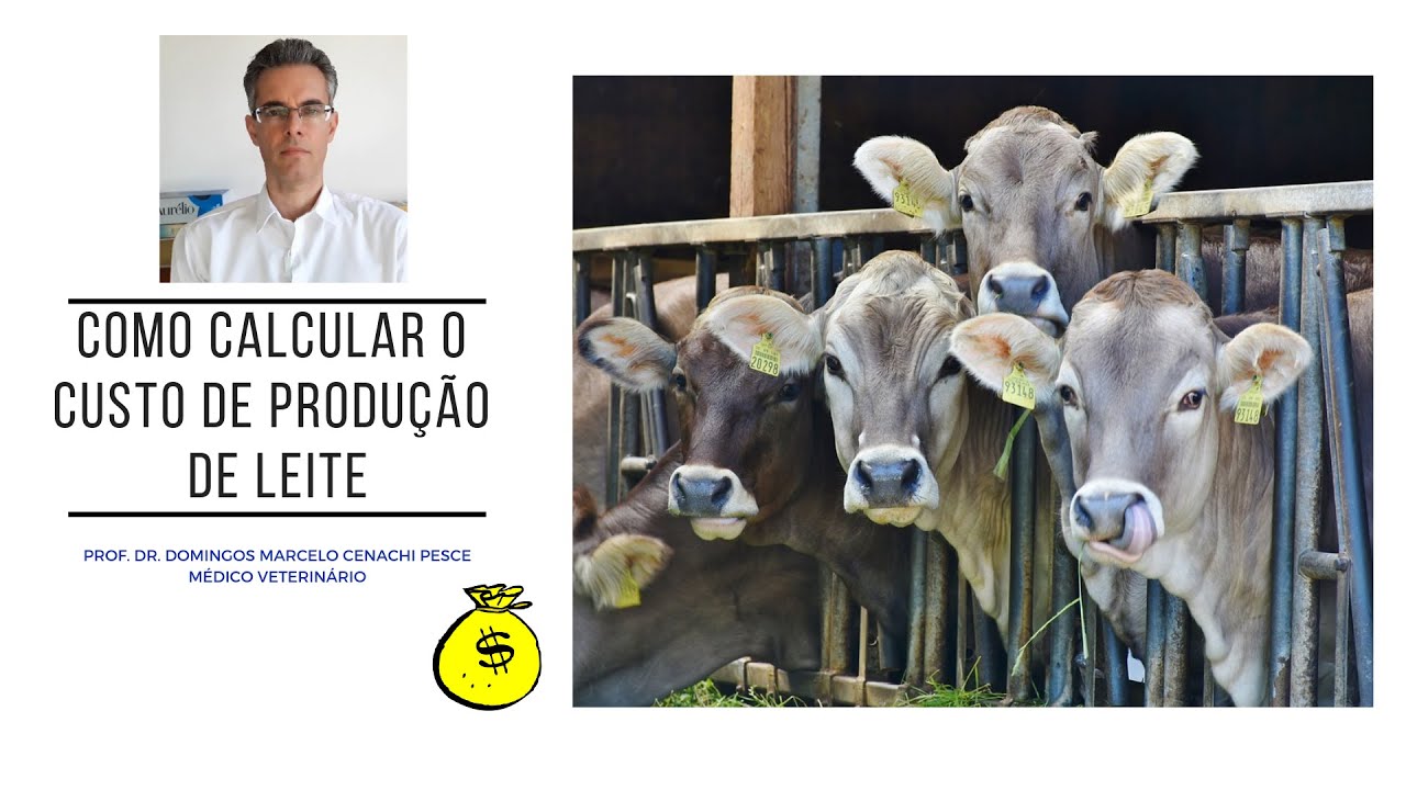 Como calcular o custo de produção de uma fazenda leiteira - parte 1 ...