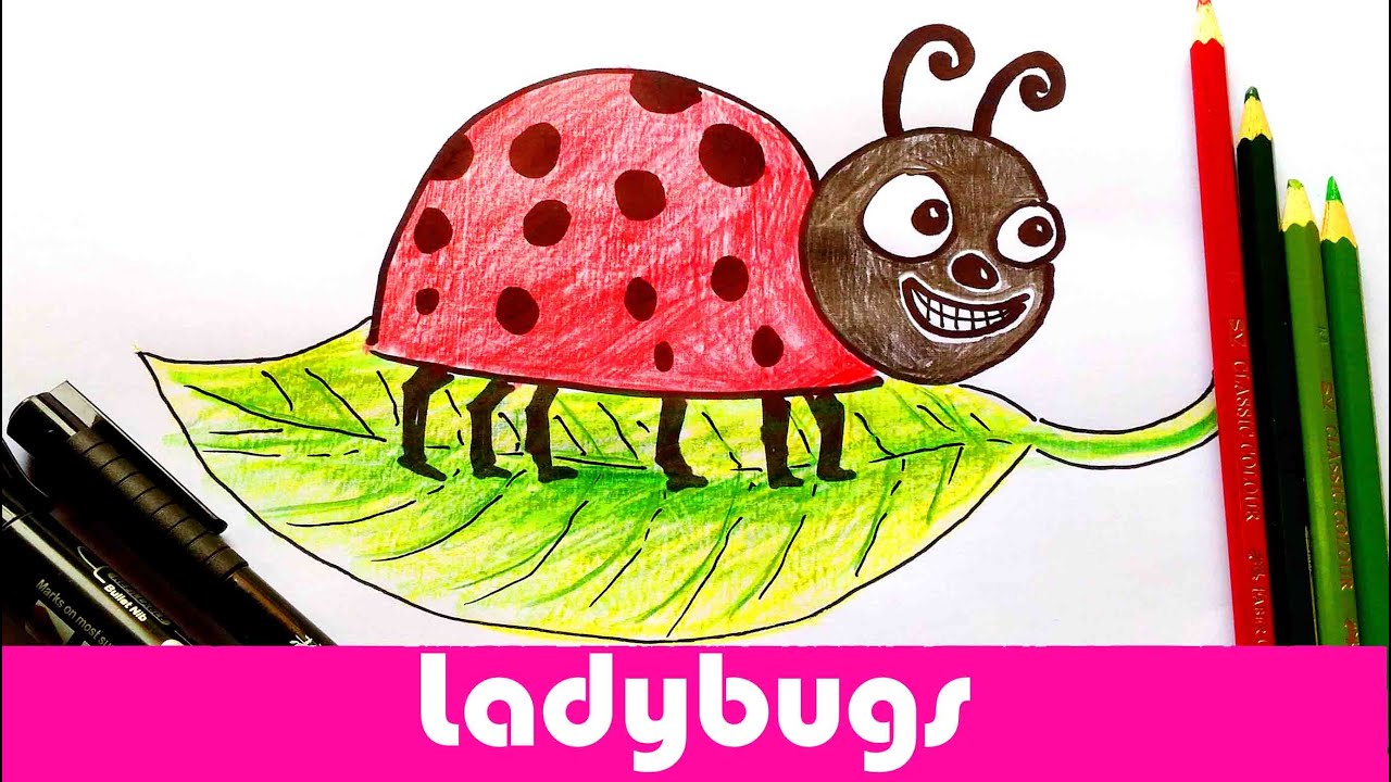 How To Draw a Ladybugs! Easy Cartoon Ladybugs Animal Tutorial - For ...