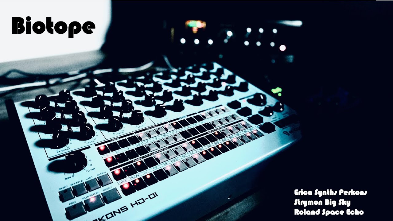 Biotope (Erica Synths Perkons / Strymon Big Sky / Roland Space Echo ...