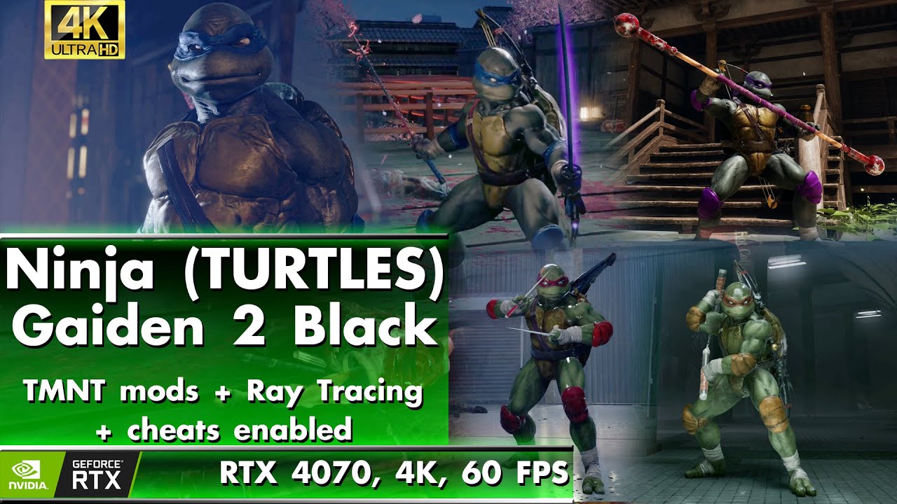 Ninja (TURTLES) Gaiden 2 Black in 2026 - All 4 TMNT character mods ...