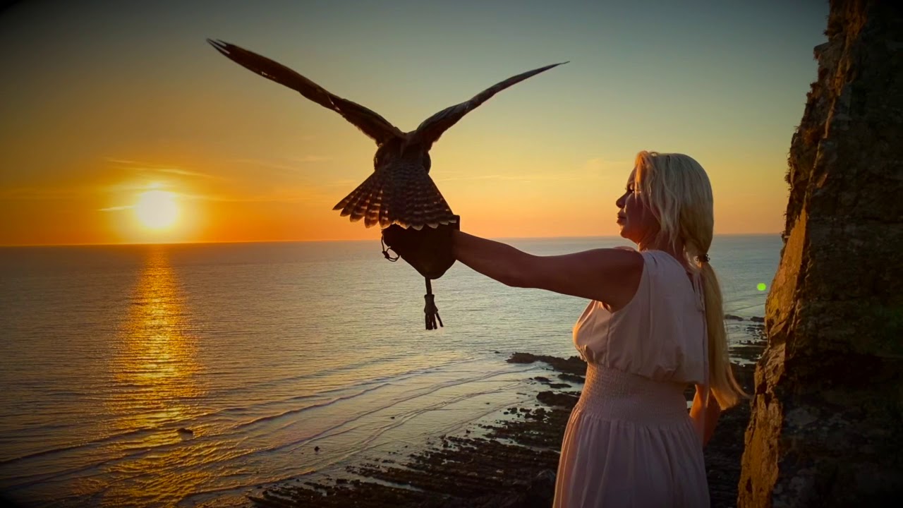 Flight & Fantasy - YouTube