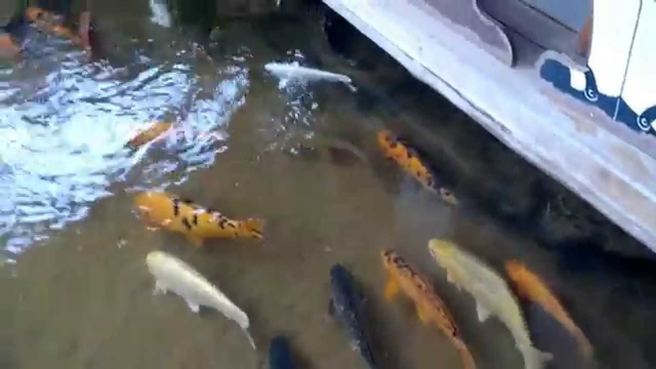 Fluss Haus/ São Martinho/ SC - YouTube