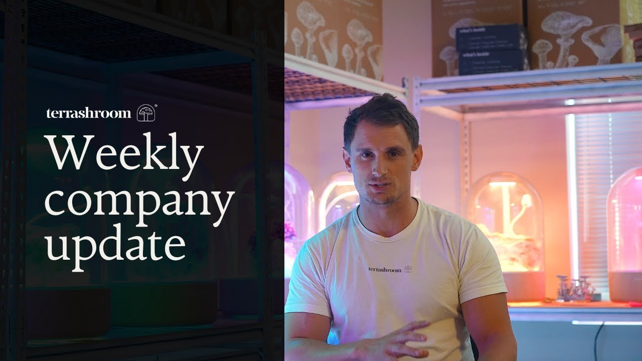 Terrashroom Weekly Company Update - August 4th, 2024 - YouTube